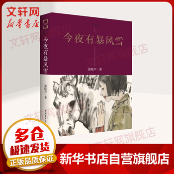 今夜有暴风雪 梁晓声作品