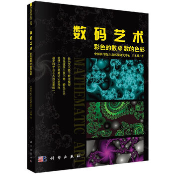数码艺术(彩色的数与数的色彩)王本楠