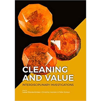 Cleaning and Value: Interdisciplinary Investigat