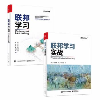 联邦学习套装：理论+实战(套装共2册)(博文视点出品)	