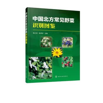 中国北方常见野菜识别图鉴9787122361660 化学工业出版社