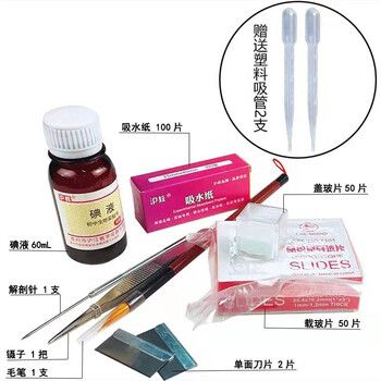 沪教 临时装片制作工具片 初中生物实验器材 教学仪器碘液吸水纸载玻片盖玻片单面刀片解剖针镊子毛笔 临时装片制作工具套装