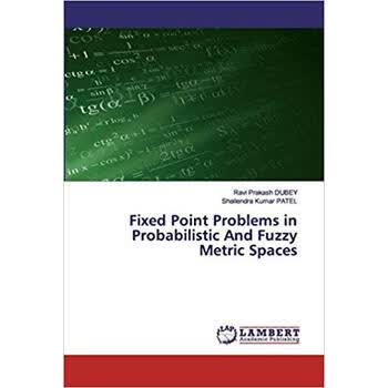 Fixed Point Problems in Probabilistic And Fuzzy
