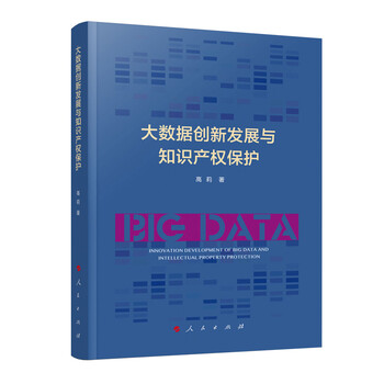 大数据创新发展与知识产权保护 高莉