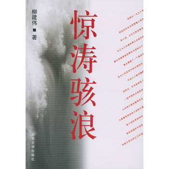 惊涛骇浪 柳建伟  人民文学出版社