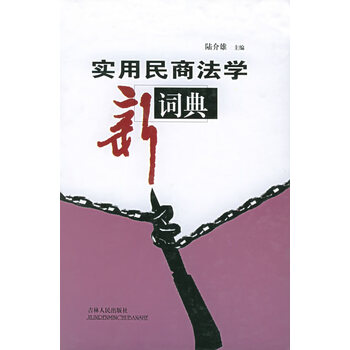 实用民商法学新词典