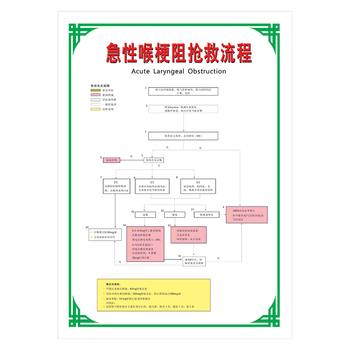 医院制度牌宣传画急救程序挂图过敏性休克抢救流程图示意图墙贴画覆膜防水贴纸WSB169 WSB169-22 急性喉梗阻抢救流程 100*70厘米 覆膜防水PP贴纸