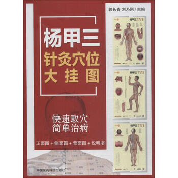 杨甲三针灸穴位大挂图【正版图书】