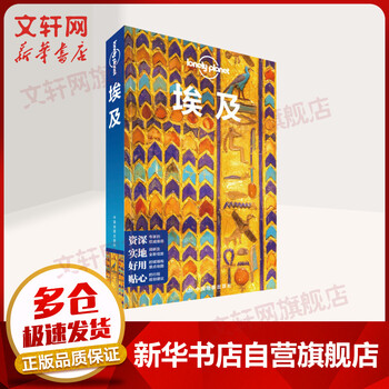 埃及 第二版 孤独星球Lonely Planet旅行指南系列
