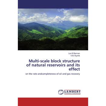 Multi-scale block structure of natural reservoir