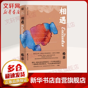 相遇(精)/格非作品系列