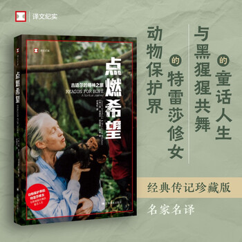 点燃希望 译文纪实 图书