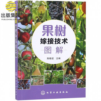 果树嫁接技术图解