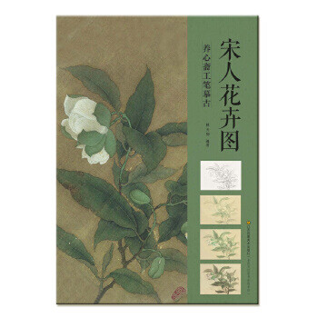 宋人花卉图-养心斋工笔摹古