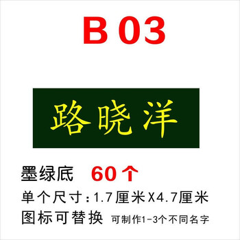 定制迷彩软姓名牌贴学生幼儿园名字贴可缝熨烫体能衣服名字条防丢布标签防水 B13海洋