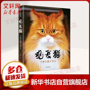 观复猫 今朝有猫万事足