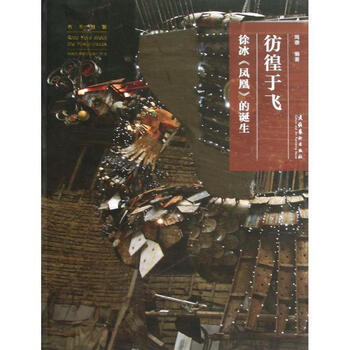 彷徨于飞 周瓒 著