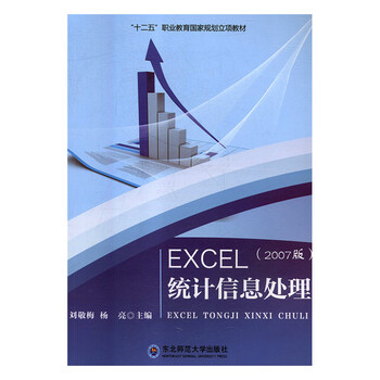 Excel统计信息处理t2007版