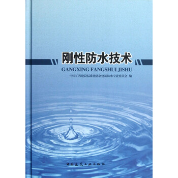 刚性防水技术(精)