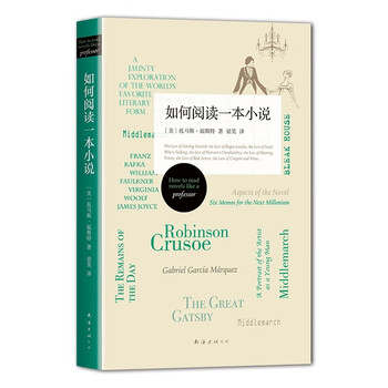 如何阅读一本小说 新书