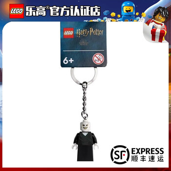 乐高（LEGO）小人仔钥匙扣 书包挂件 挂饰 不发光 情侣 女生 男孩 生日礼物 854155 哈利波特 伏地魔钥匙链【图片 价格 品牌 报价】-京东