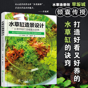 水草缸造景设计：从零开始打造唯美水世界