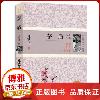茅盾小说经典 矛盾小说作品集 现当代文学小说 【百元神卷】