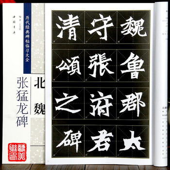 北魏张猛龙碑 历代经典碑帖临习大全 简体旁注 米字格字 楷书 毛笔字帖 碑帖 书法中国书店出版社