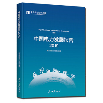 正版 中国电力发展报告20199787511564238