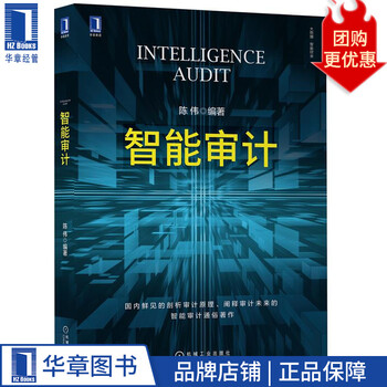 现货包邮 智能审计 陈伟8081494