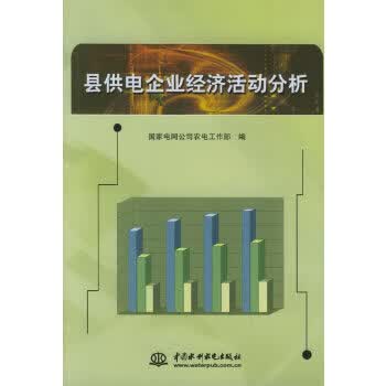 县供电企业经济活动分析
