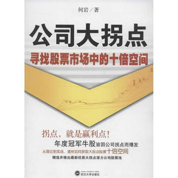 公司大拐点寻找股票市场中的十倍空间