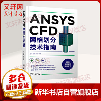 ANSYS CFD网格划分技术指南