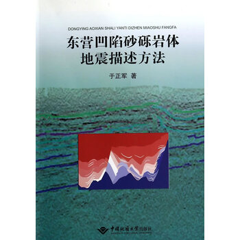 东营凹陷砂砾岩体地震描述方法