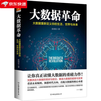 大数据 计算机与互联网 张靖笙著 中国友谊出版公司
