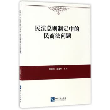 民法总则制定中的民商法问题