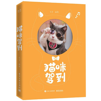 猫咪驾到