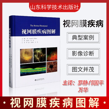 视网膜疾病图解 山东科学技术出版社