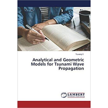 Analytical and Geometric Models for Tsunami Wave