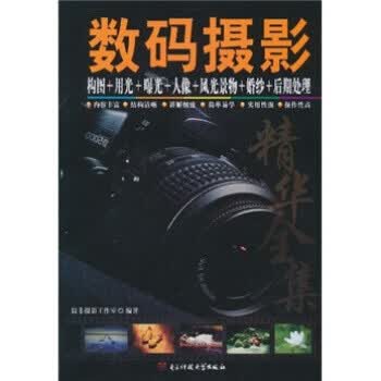 数码摄影构图+用光+曝光+人像+风光景物+婚纱+后期处理精华全集 陆非摄影工作室 电子科技大学出版社