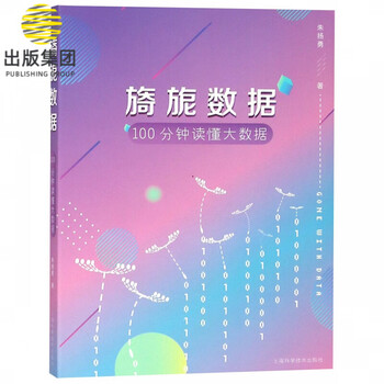 旖旎数据(100分钟读懂大数据)