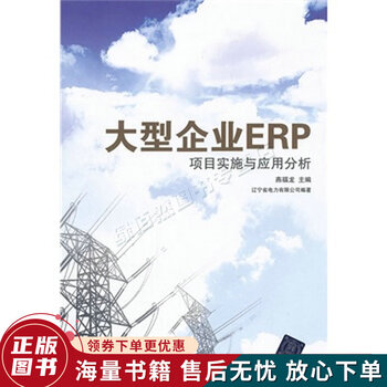 大型企业ERP项目实施与应用分析