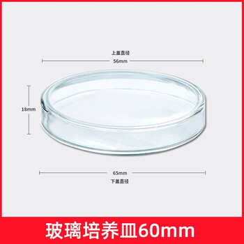 酷哥玻璃培养皿生物实验器材细菌培养组织培养 60mm