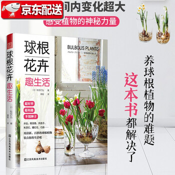 球根花卉趣生活 不用种子 超漂亮超好养 庭院设计师教你玩球根详解栽种步骤 日本园艺家教你打造