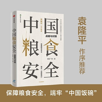 中国粮食安全：战略与对策【保证正版】