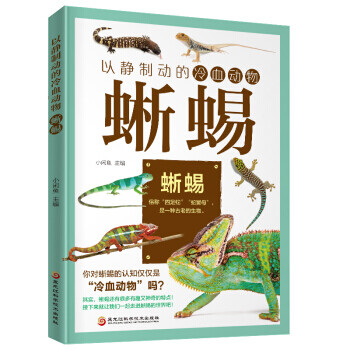 以静制动的冷血动物：蜥蜴