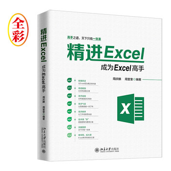 精进Excel 成为Excel高手 excle教程书 会计excel 电脑基础知识 办公应用 of