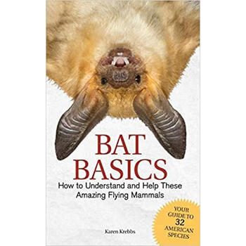 Bat Basics