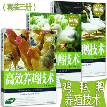 高效鸡鸭鹅养殖技术 养鸡 养鸭 养鹅书籍 新农村家畜家禽饲养管理 高效养鹅技术大全培训指导