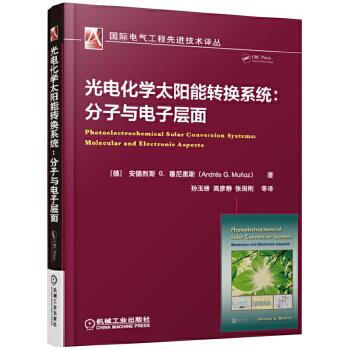 光电化学太阳能转换系统:分子与电子层面【正版图书，放心下单】